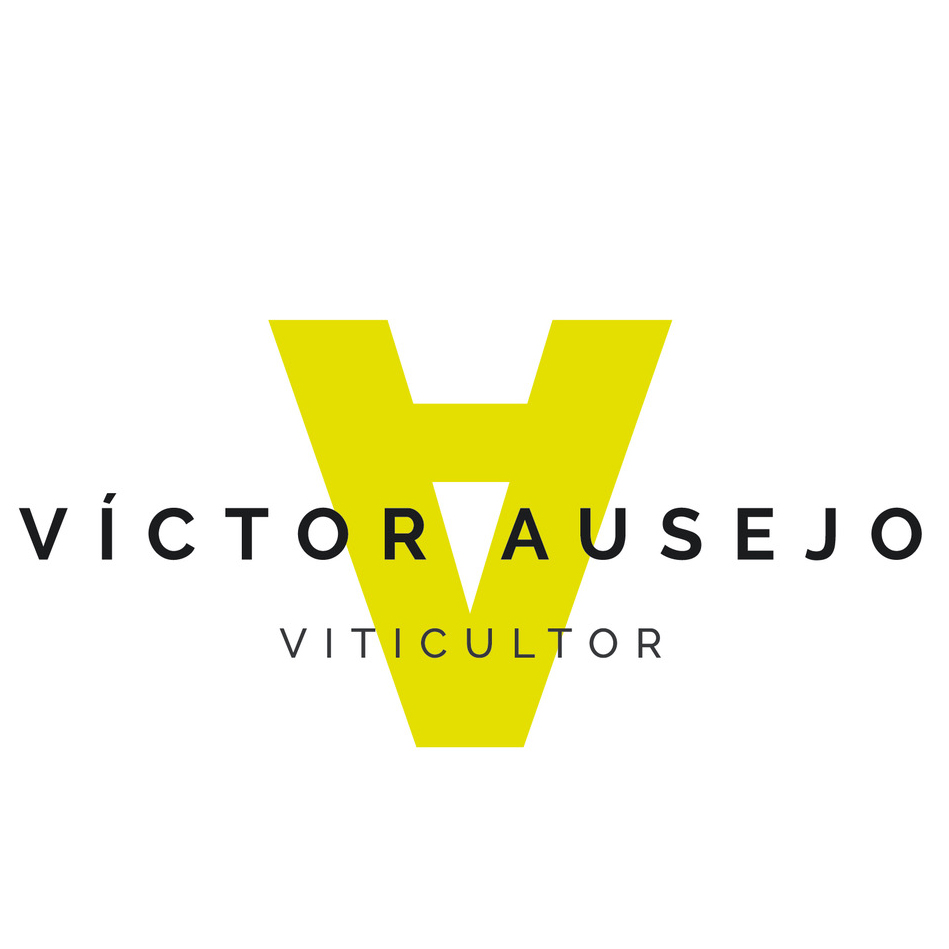 Victor Ausejo : Winemaker of handcrafted wines (D.O.Ca.Rioja)